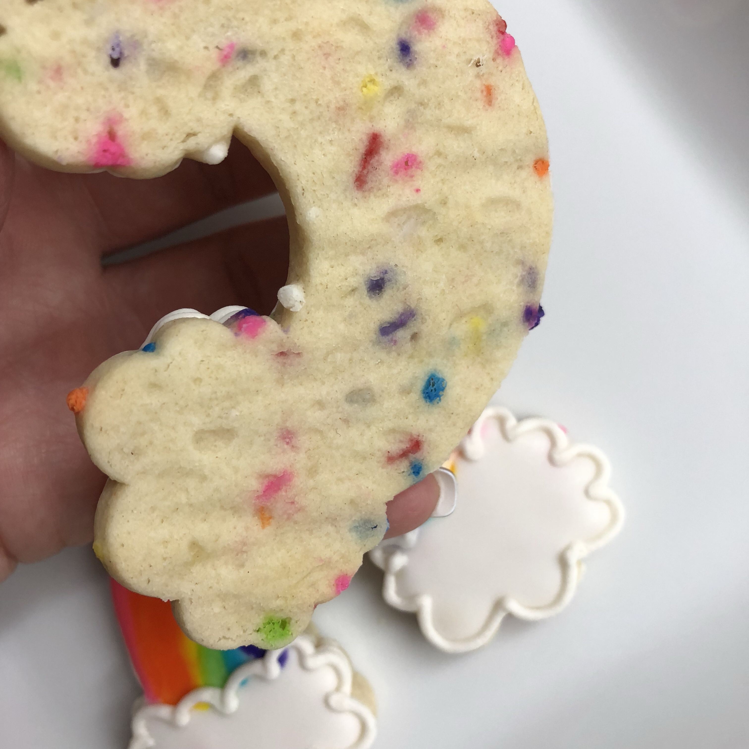 Rainbow Cookies | Cookie Carrie